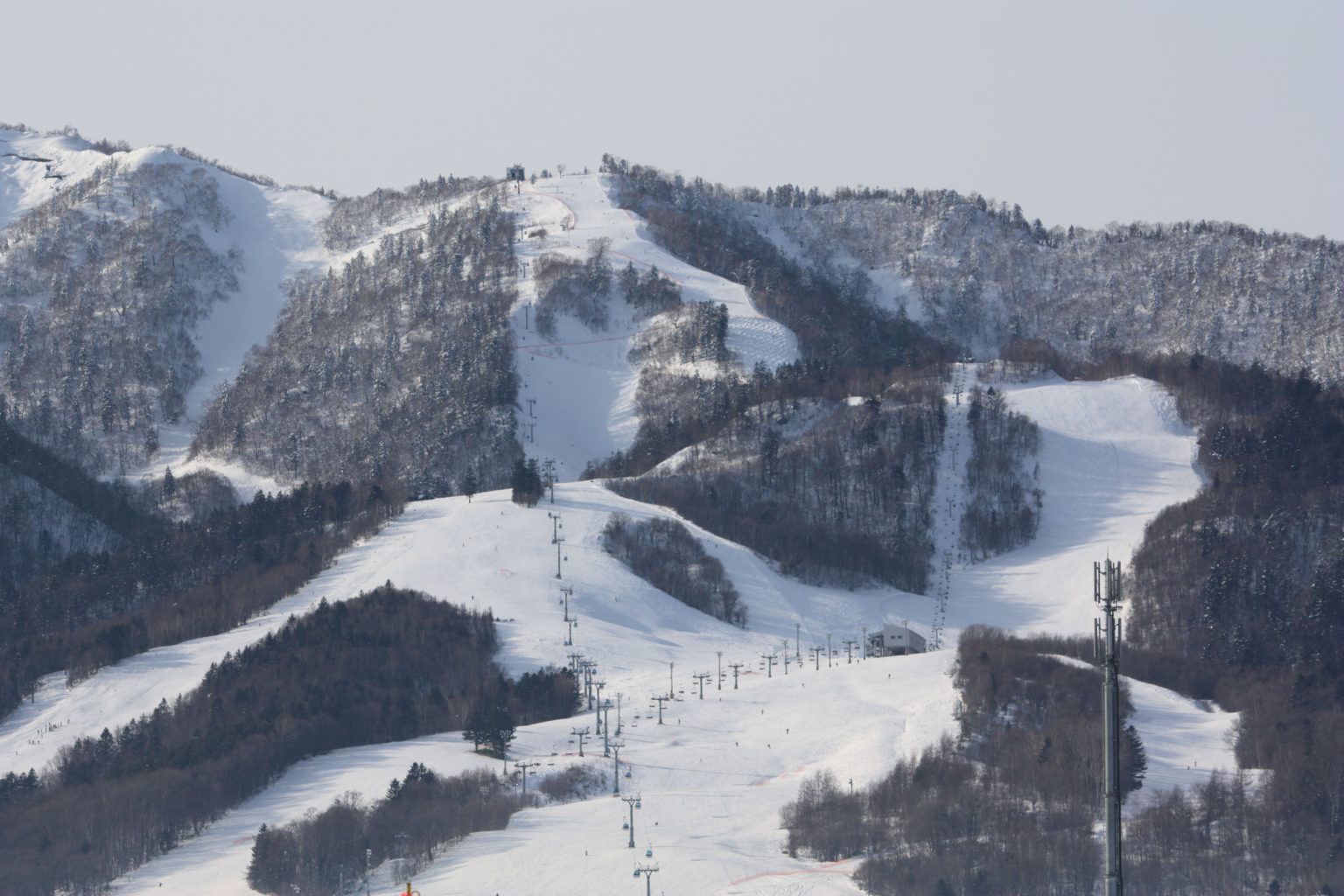 Snow Furano - Ski in Furano | Just another WordPress site